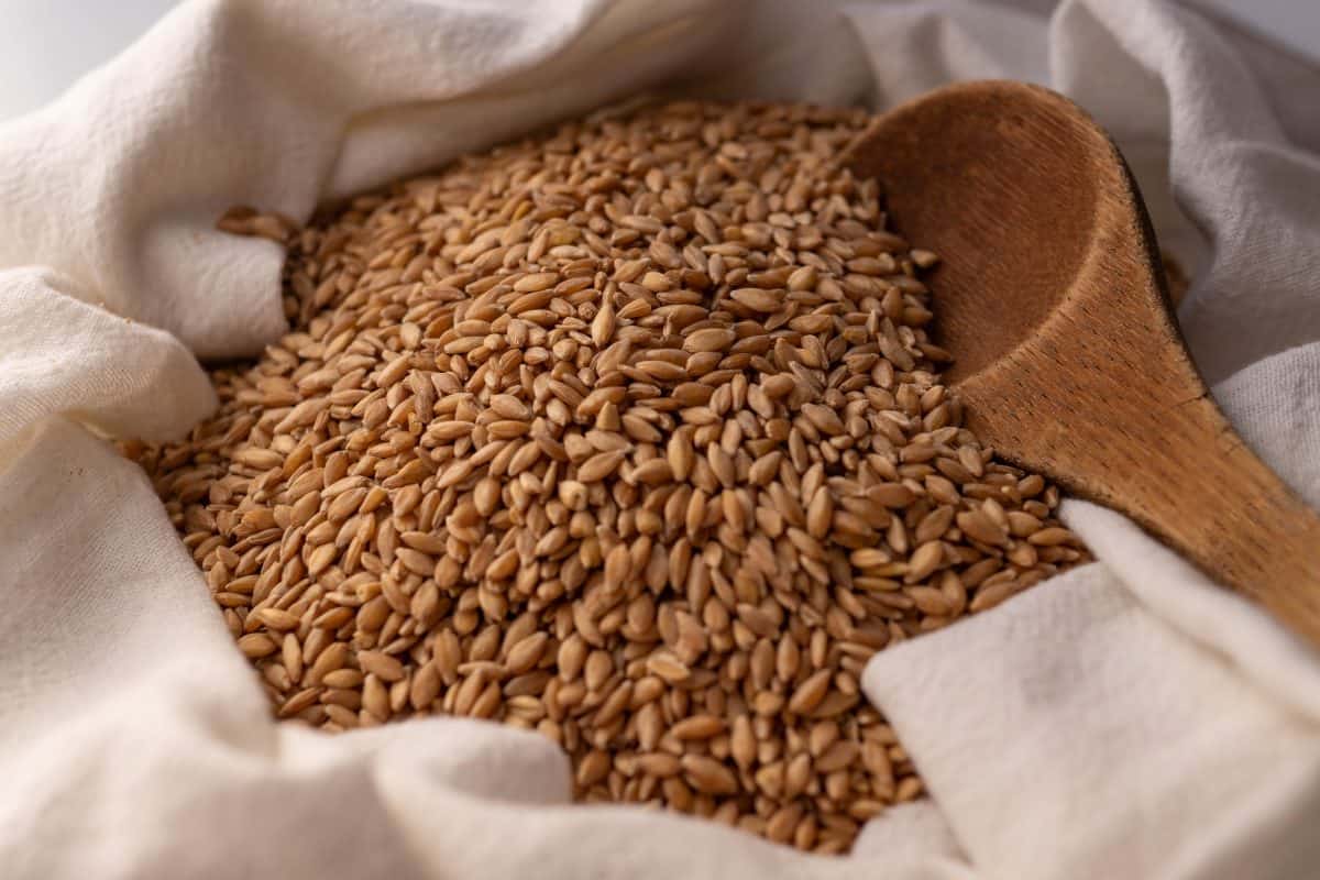 Ancient Grain Flour Guide