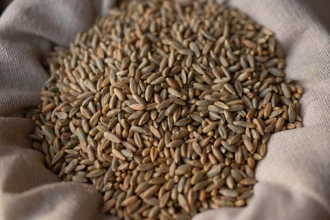 Ancient Grain Flour Guide
