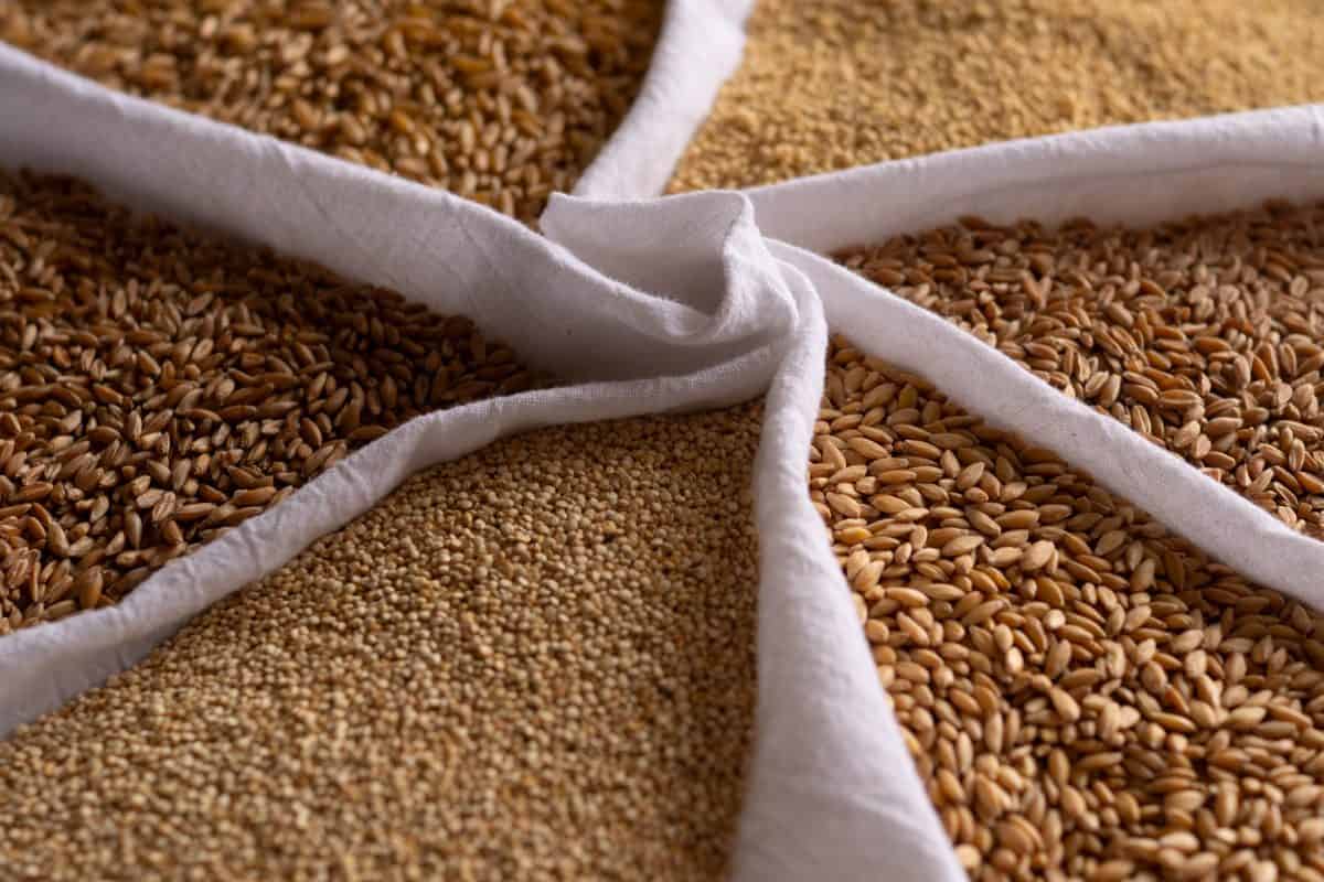 The Ultimate Guide to Cooking Whole Grains