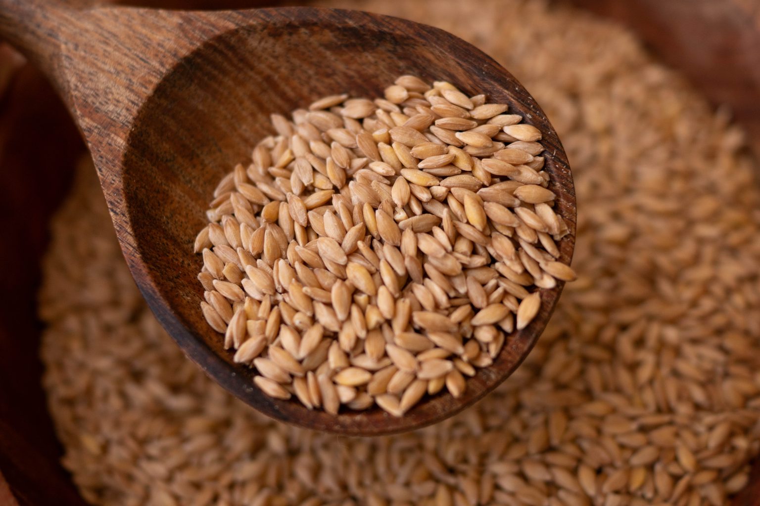 Ancient Grains Unlocked: Which Ones Are Truly Gluten-Free