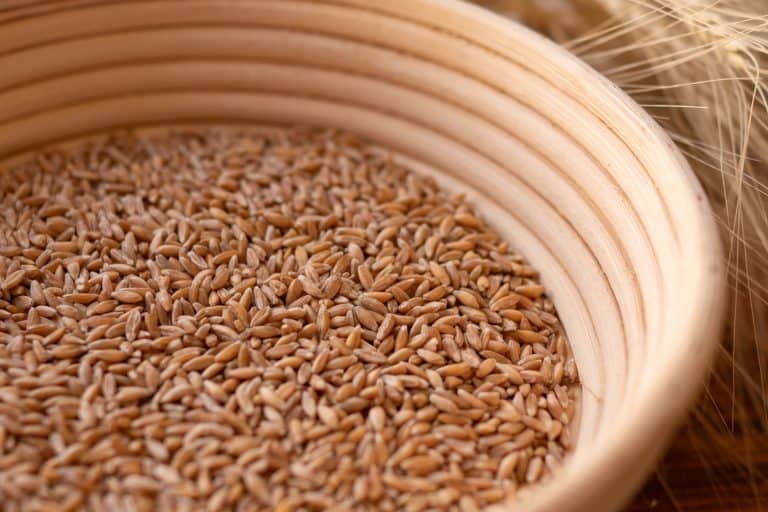 The Ultimate Guide to Cooking Whole Grains