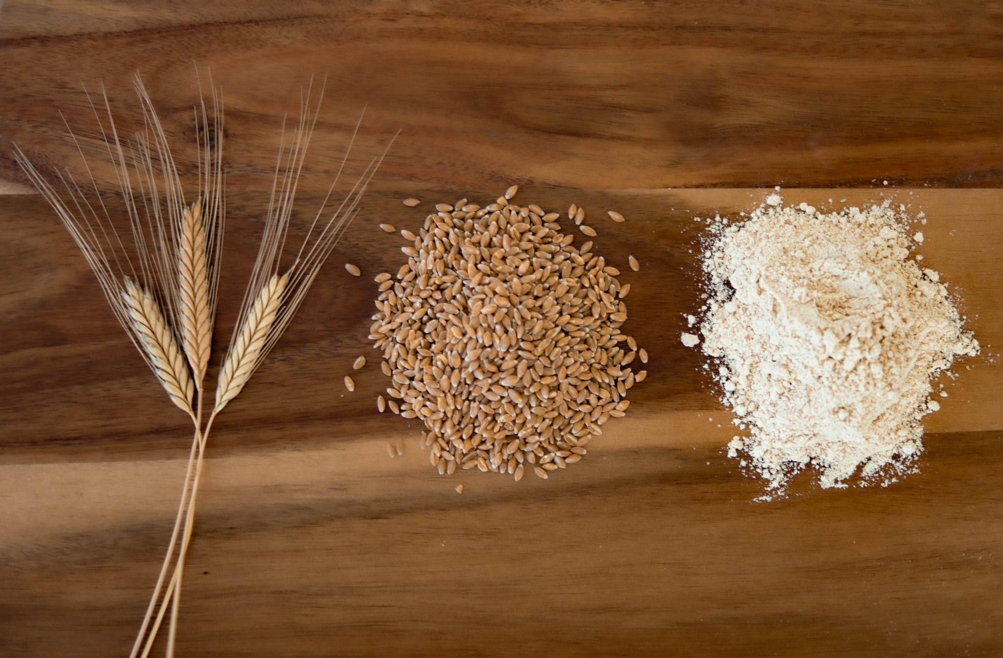 Einkorn vs. Spelt: Which Ancient Grain Reigns Supreme?