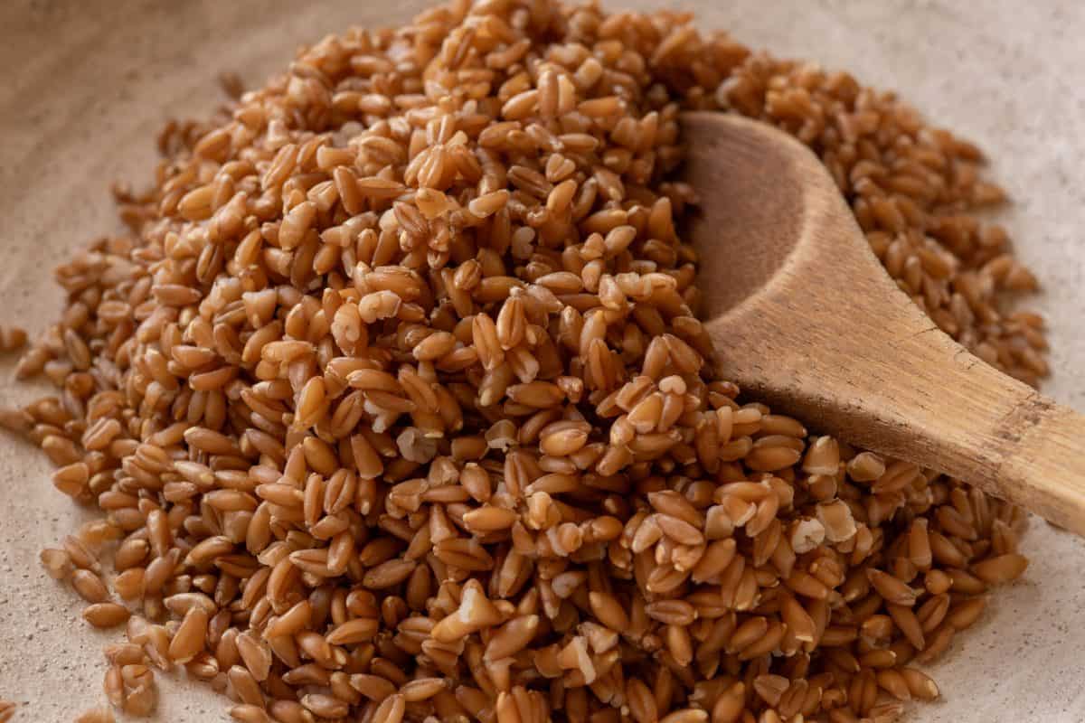 The Ultimate Guide to Cooking Whole Grains