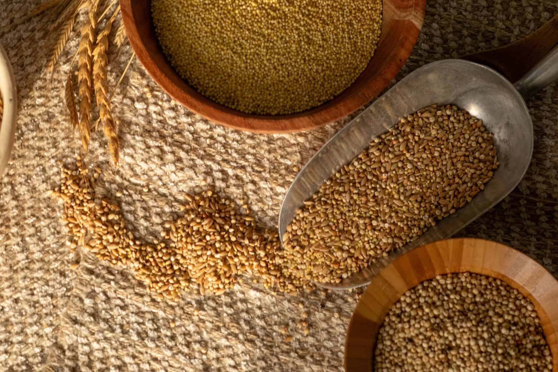 Ancient Grains Unlocked: Which Ones Are Truly Gluten-Free