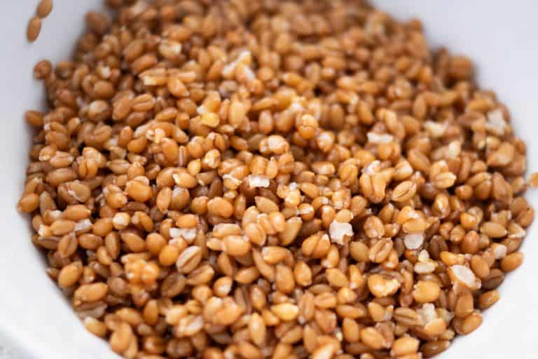 What is Dinkle Wheat? | Grand Teton Ancient Grains