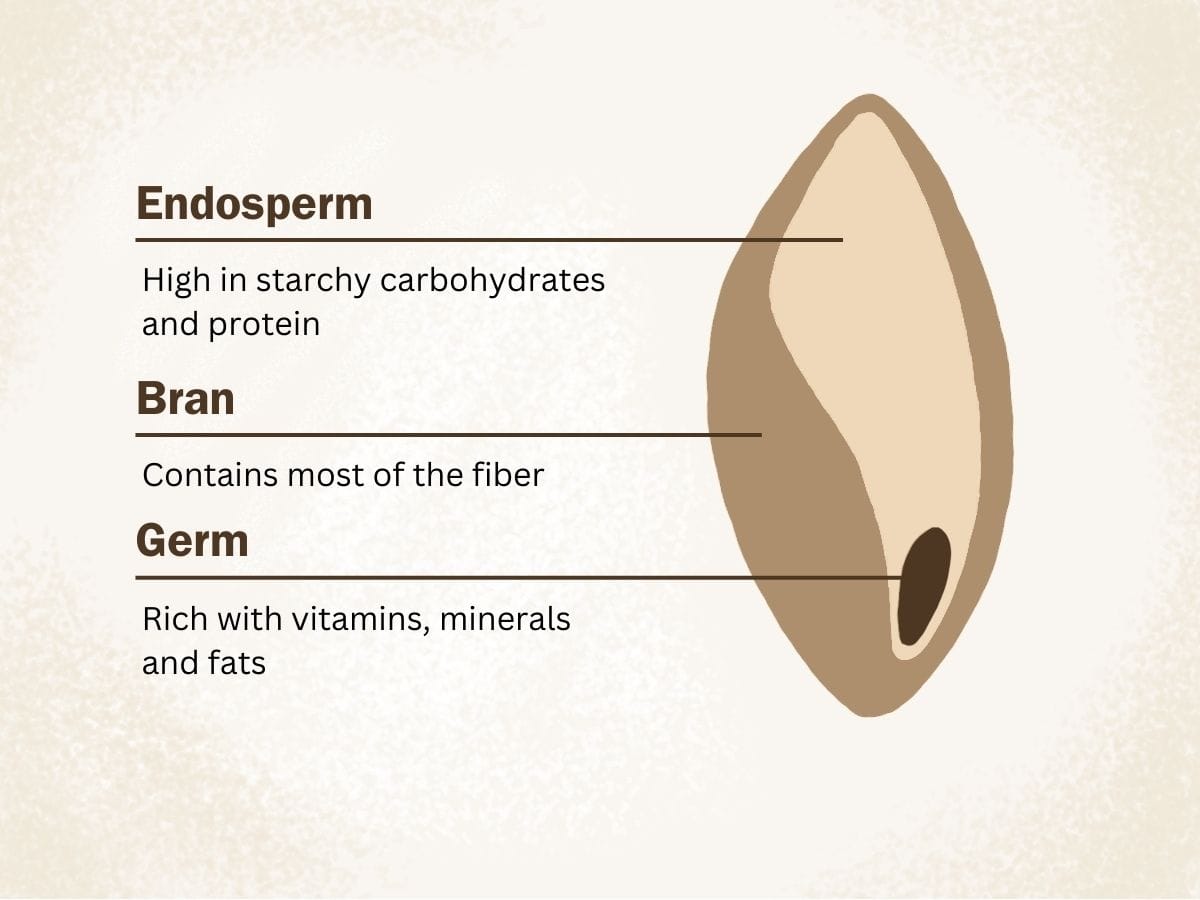The Ultimate Guide to Cooking Whole Grains