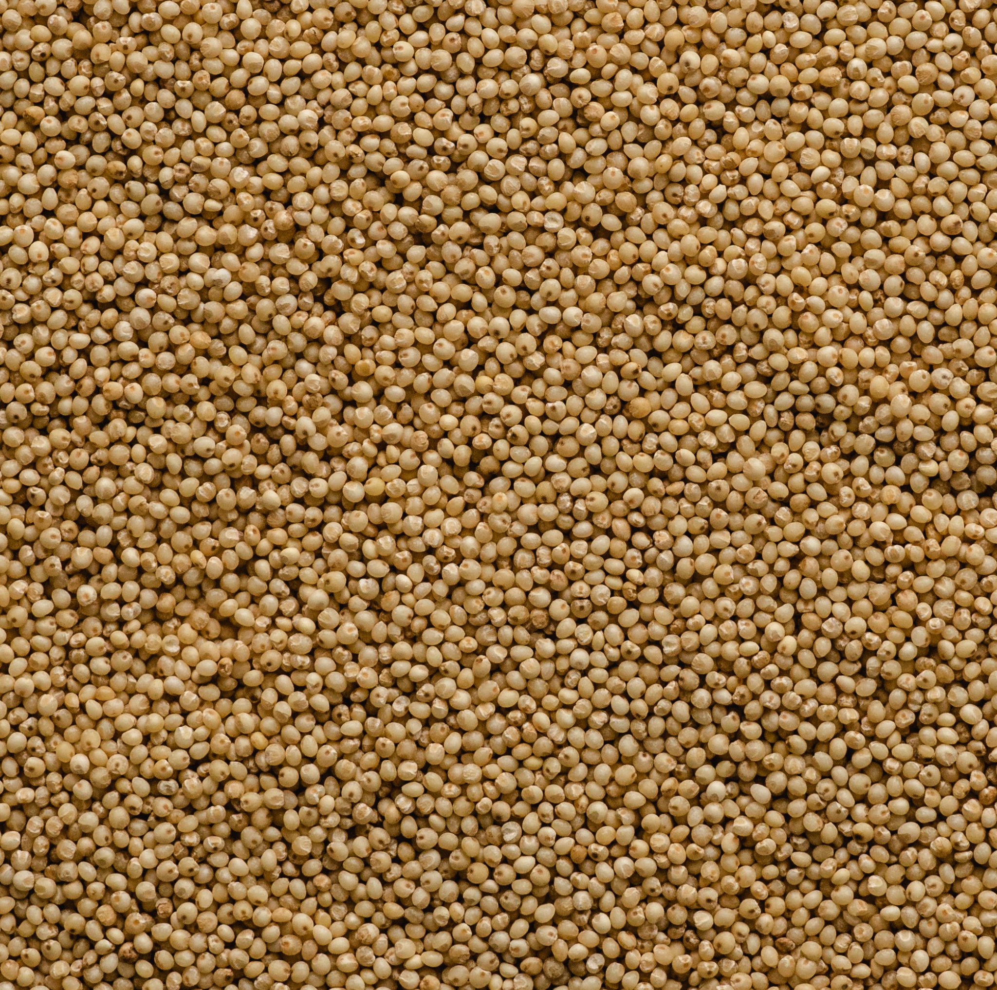 Millet in Paper Bags