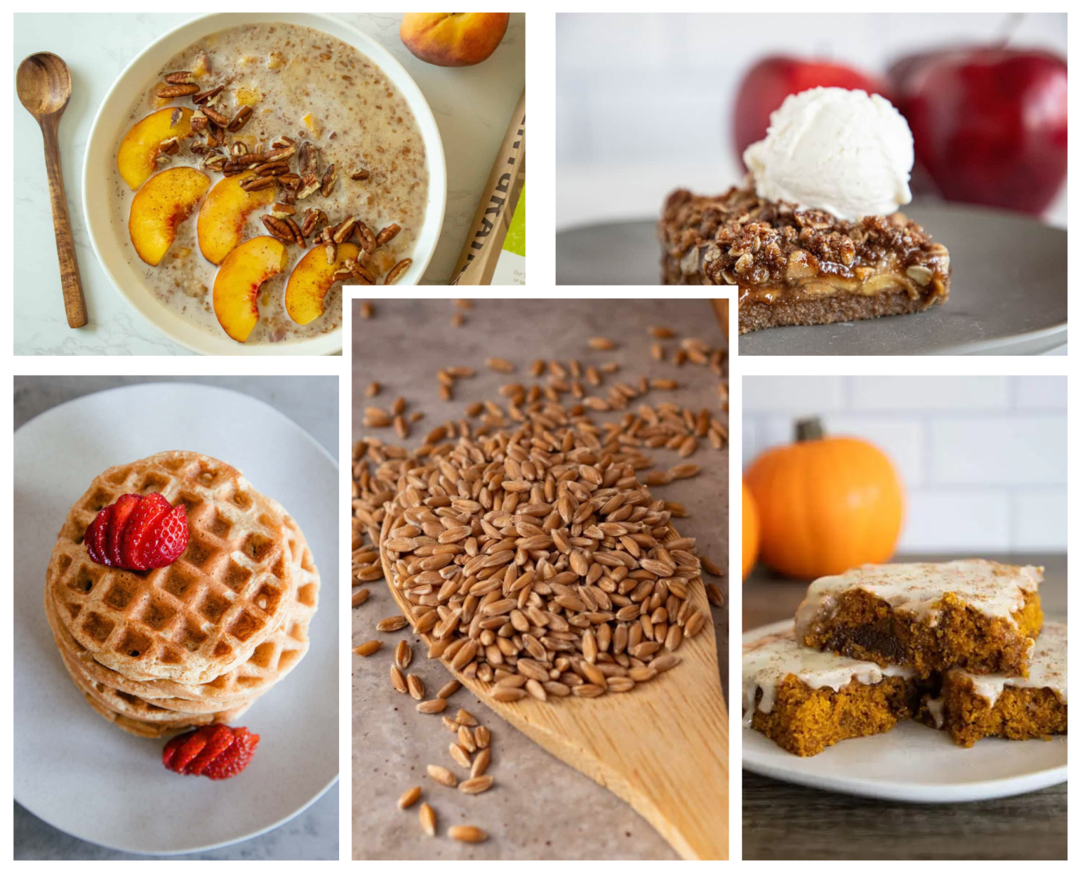 What Is Farro? 3 Ancient Grains: Einkorn, Emmer, and Spelt